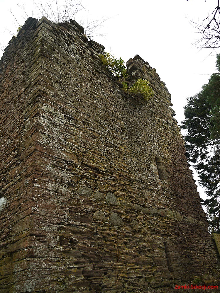 Cluggy Castle - Zamki Szkocji